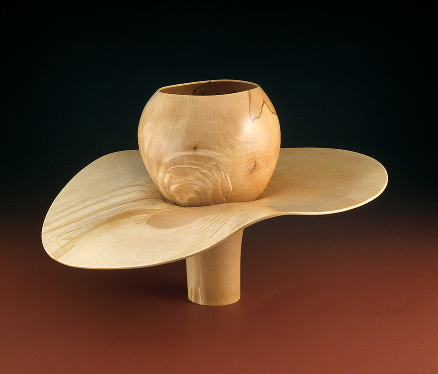 Derek Williams Trust → Artists → Howlett, Steve